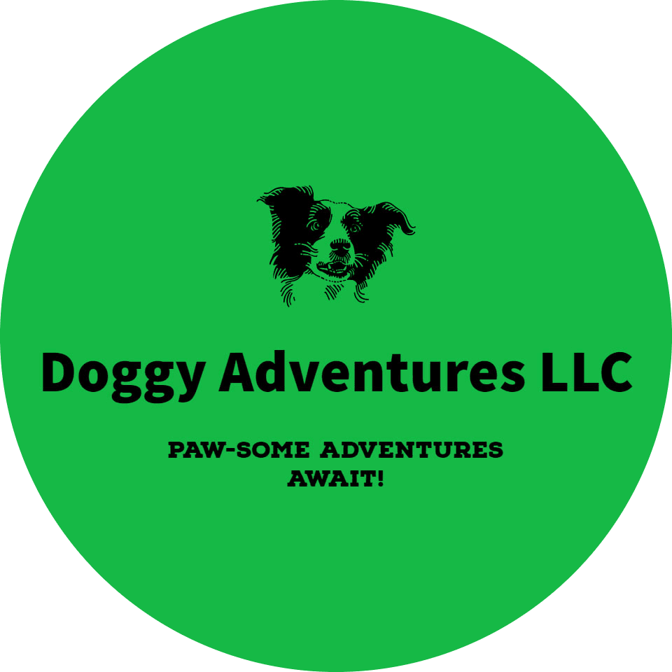 The Benefits of Daily Exercise for Dogs The Benefits of Daily Exercise for Dogs