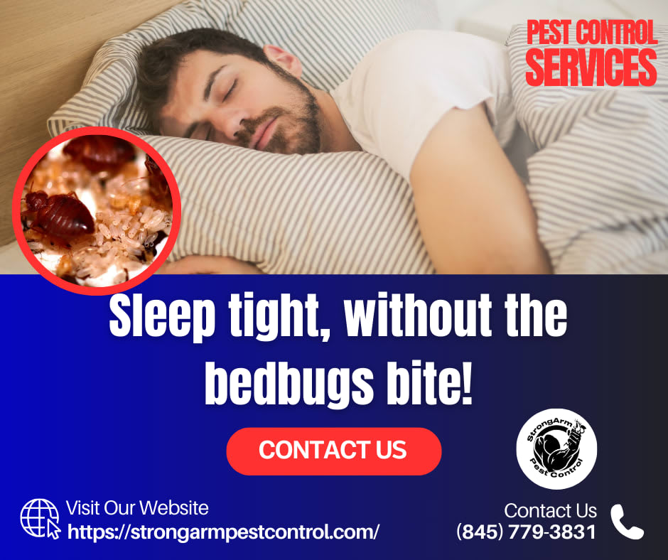 Bed Bugs Service - Pests - StrongArm Pest Control Inc. - Professional ...