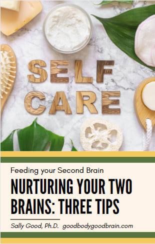 Nurturing your Second Brain - Tools - Good Body/Good Brain - Life ...
