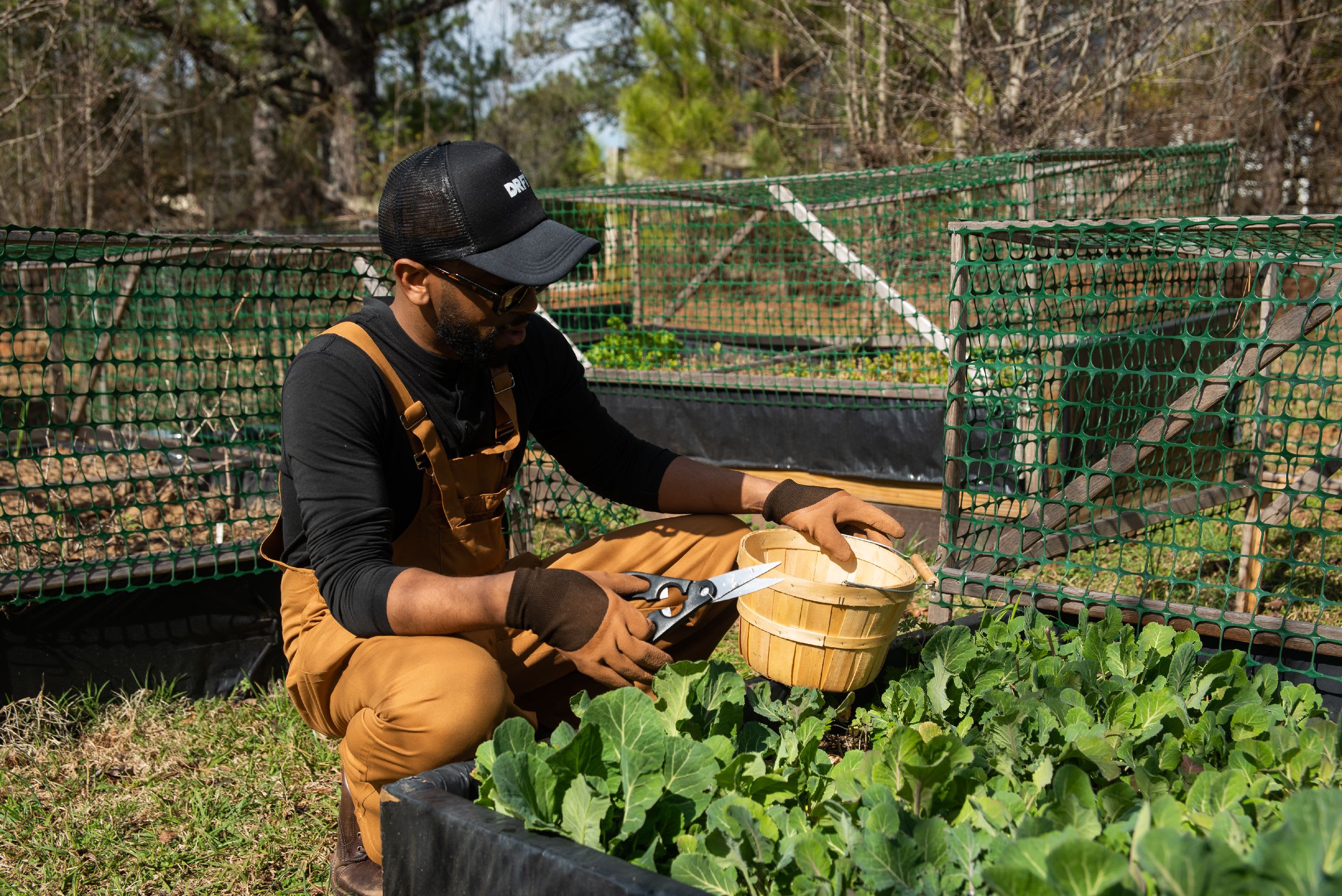 Reap + Reflect - VISIT THE FARM - DRFT Farm: Where Wellness Meets ...