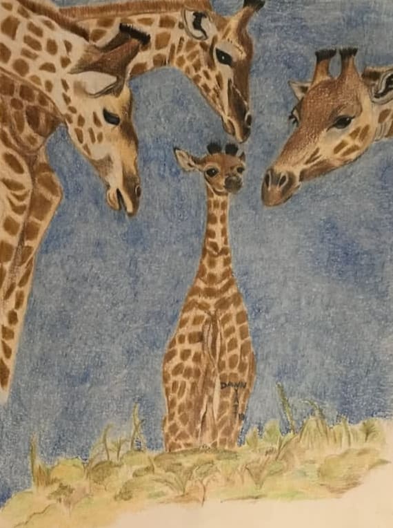 Meeting the Newest Member - Wild Animal Drawings - Artistic Designs by ...