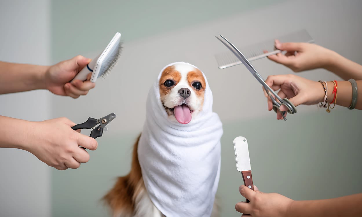 FurEver Zen | Dog Grooming and Spa | Monroe