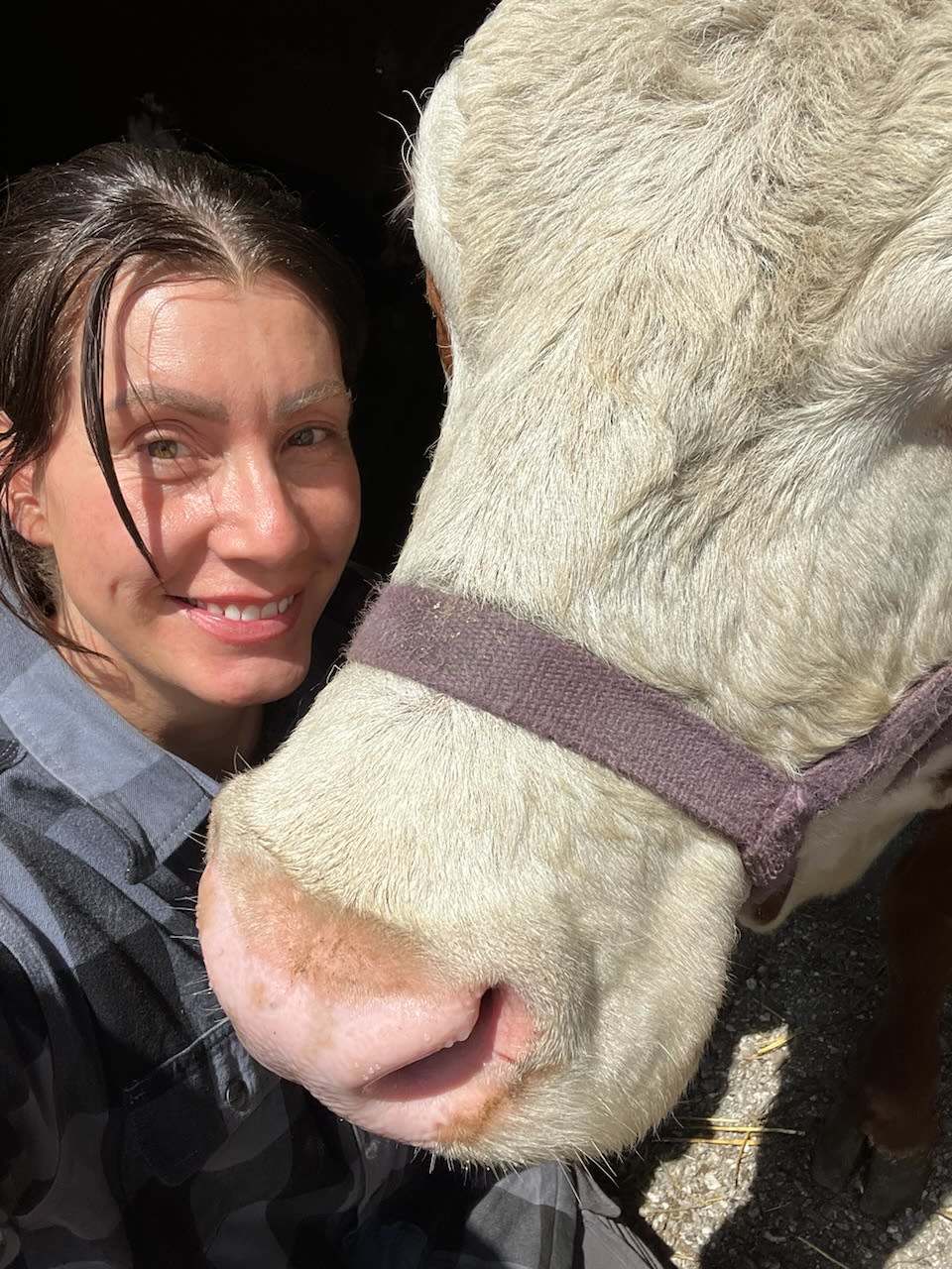 Cow Cuddling - Farm Experience - Luz Farms, LLC | Animal Snuggle Sessions & Farm Products in Monee