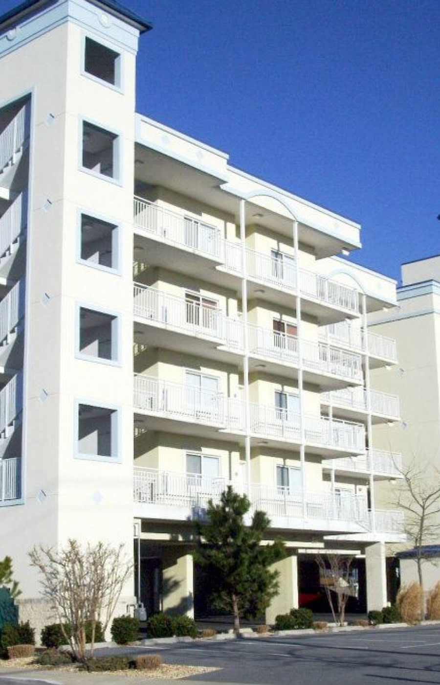 Complete "TOTAL PROPERTY CARE" Package - Our Professional Solutions