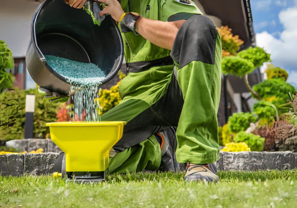 25 Years of Expertise in Lawn Fertilizing Programs - Stingray Turf ...