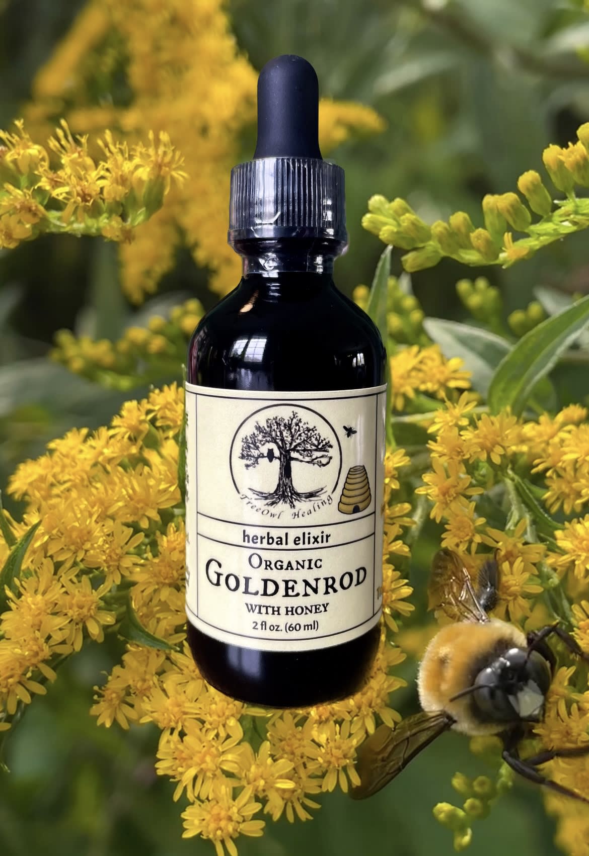 Wild Grown Goldenrod Tincture or Elixir - Tinctures and Elixirs ...