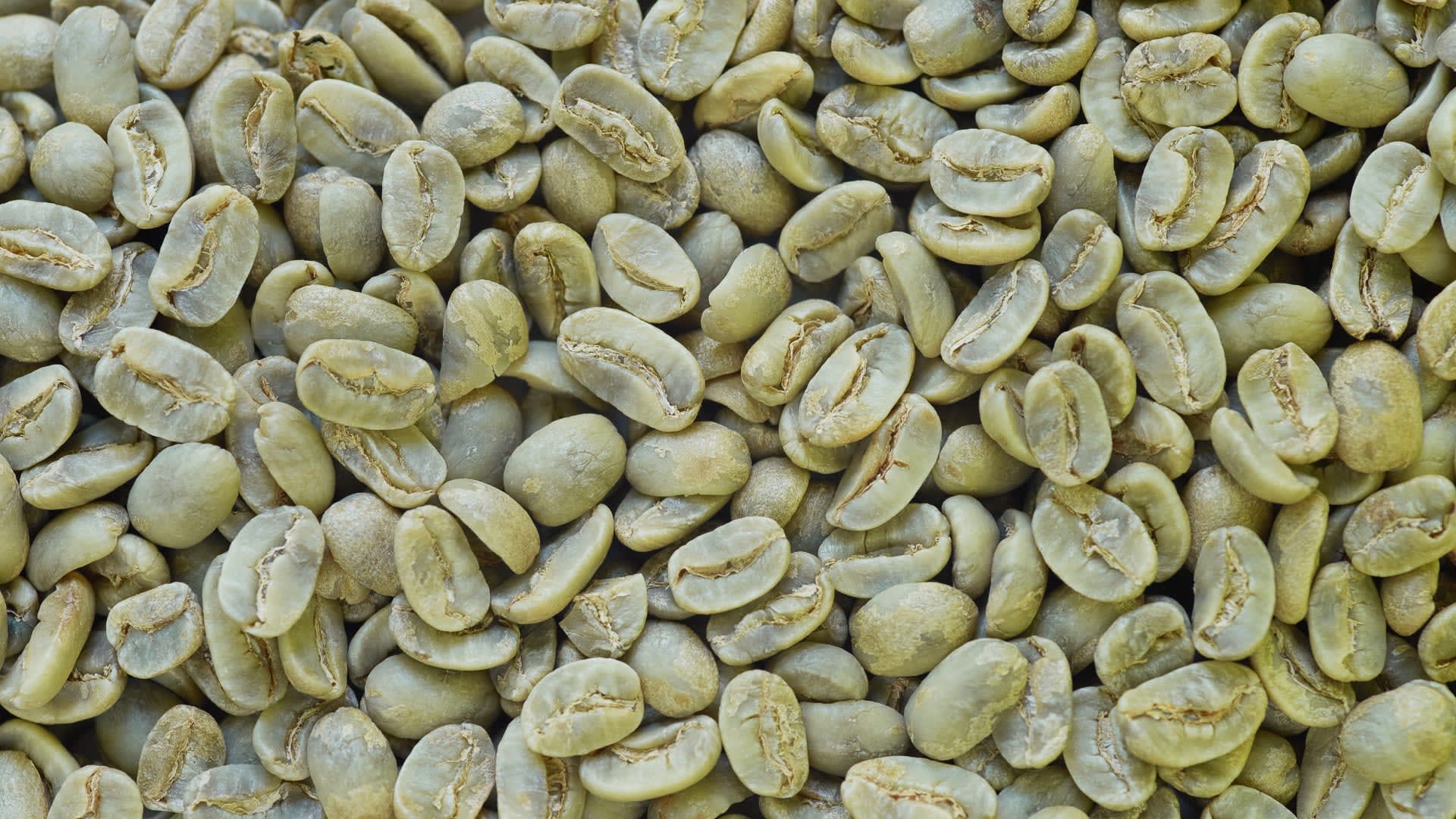 Gesha (Raw Green Bean) - Products - Emerald Bean | Premium Small Batch ...