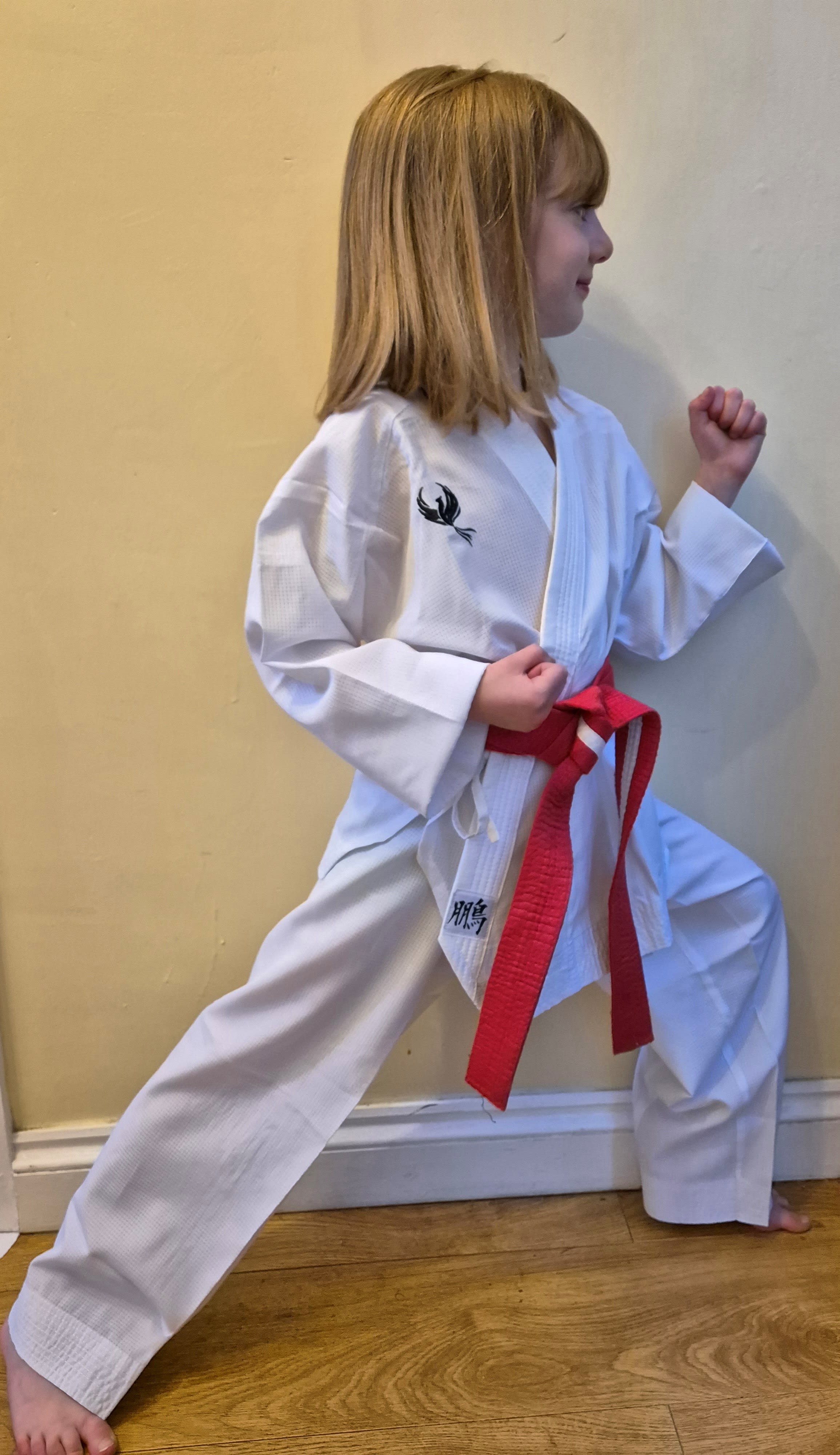 Childrens Competition Kumite GI - Karate Suits - Traditional Shotokan ...