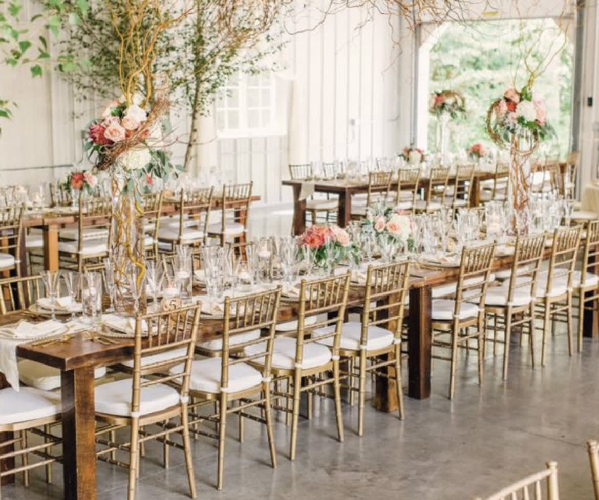 STL Party Rentals - Party Equipment Rental Service in Freeport