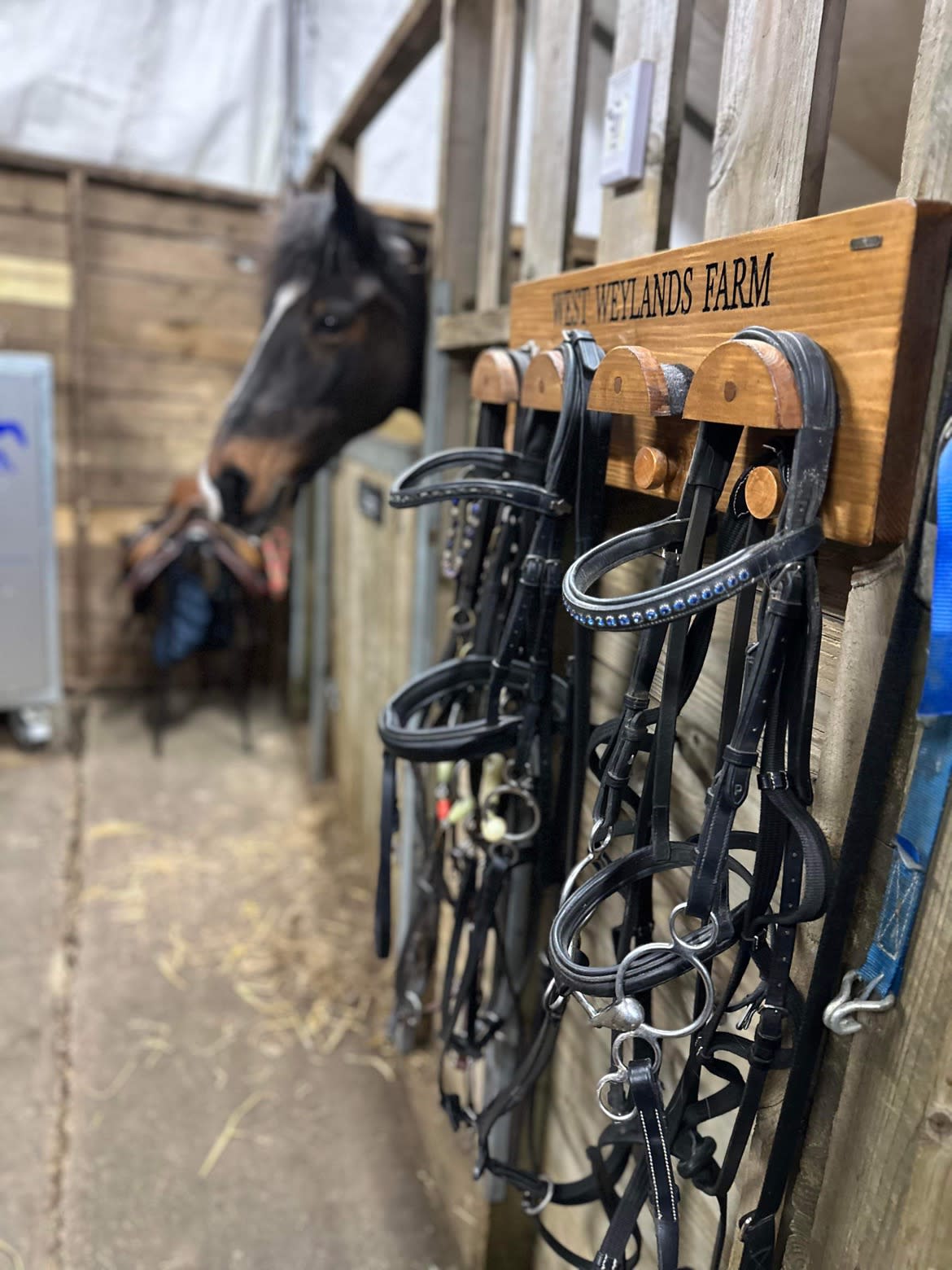 Handmade Quadruple Bridle Racks - Handcrafted Products - Meadowside ...