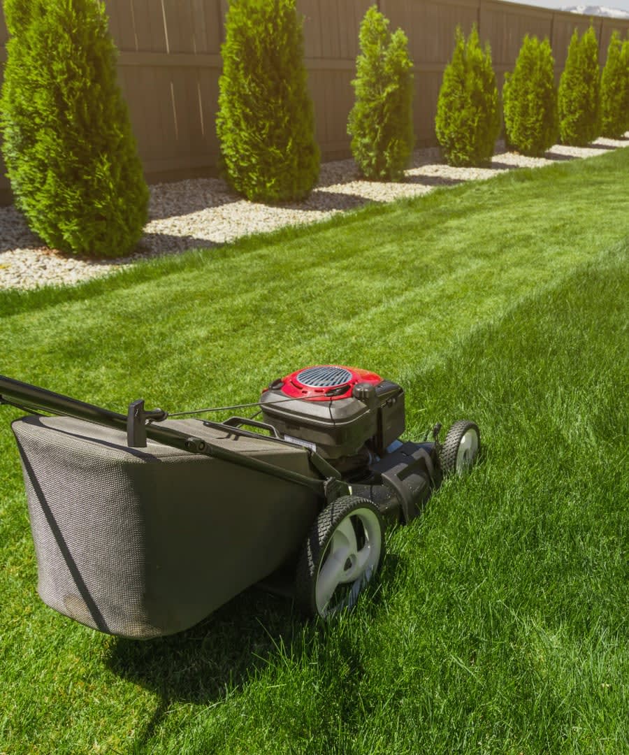 Lawn Care - Lawn and Yard Services - Semper Cuts Lawn Care and Yard ...