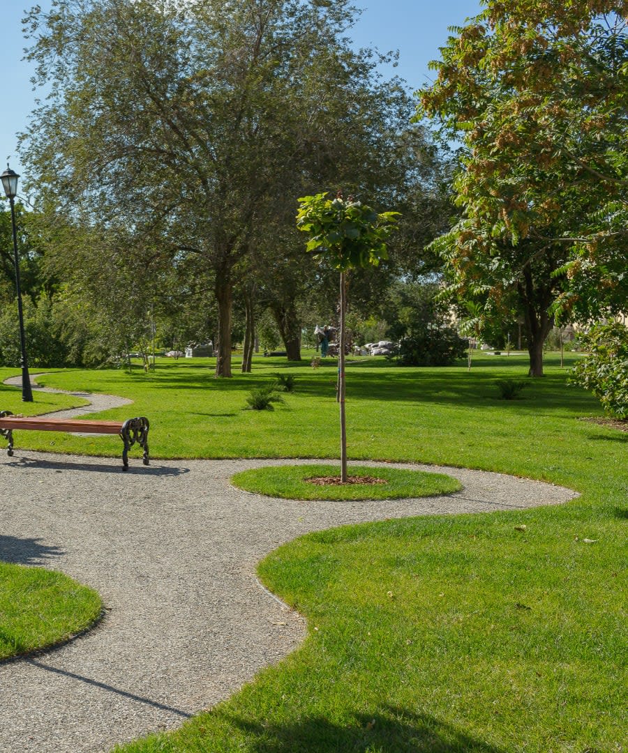 Landscaping - Lawn and Yard Services - Semper Cuts Lawn Care and Yard ...