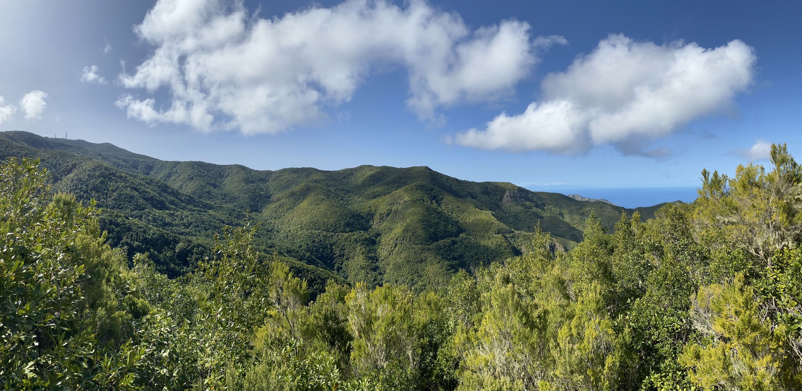 Sea & Soil Enterprise -Sustainable Agriculture Supply Company - Suva