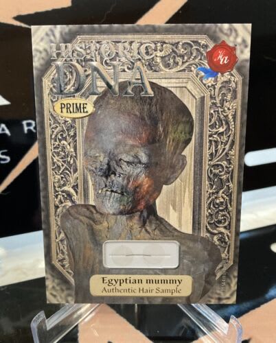 EGYPTIAN MUMMY HAIR SAMPLE 2024 Historic Autographs Prime DNA 3500 BC ...