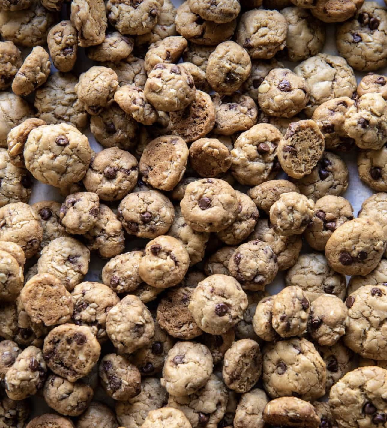 Chocolate Chip - Flavors- Mini cookies - Mama Khan’s Cakeballs | Cake ...