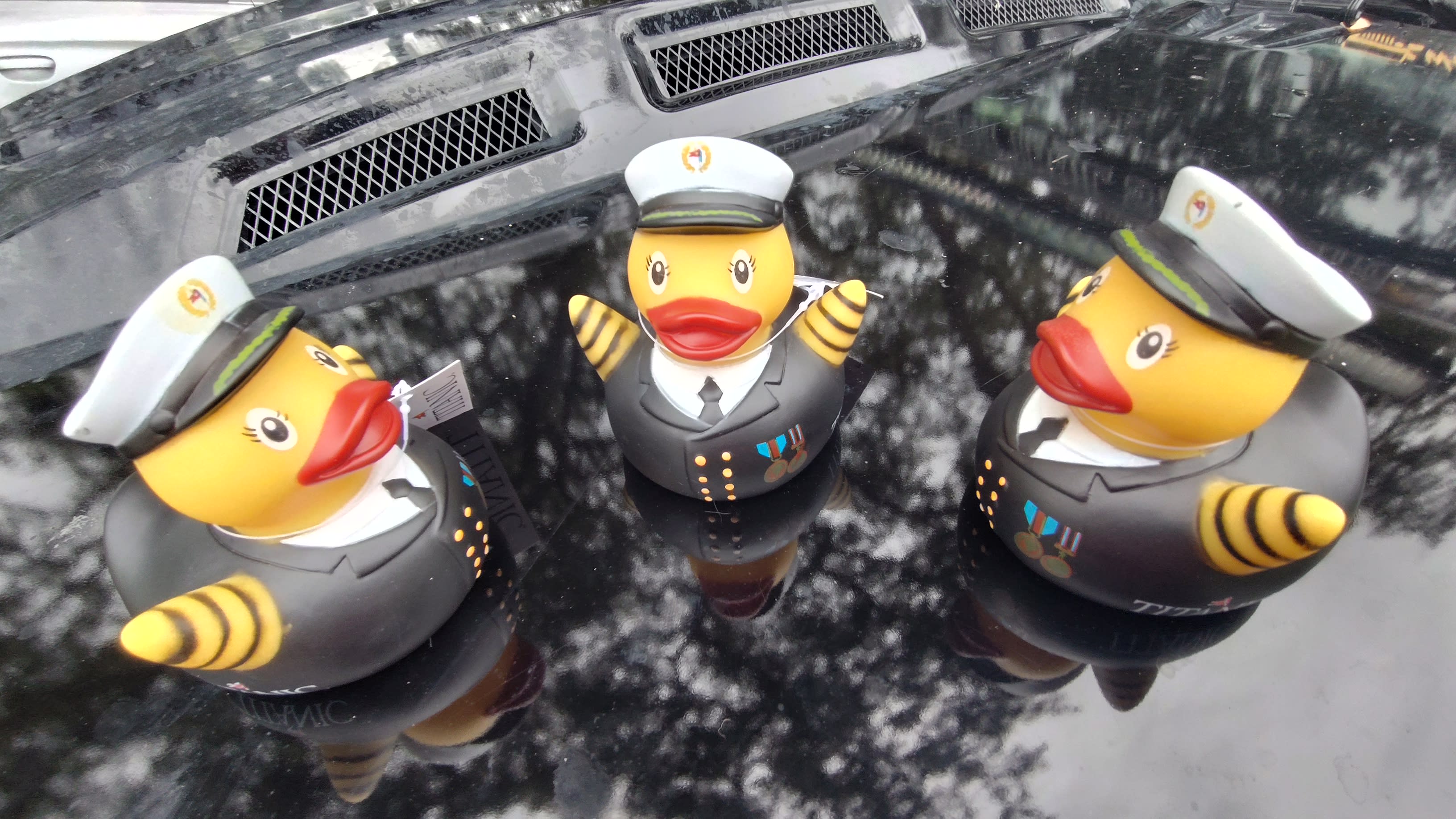 Titanic Duck - Quacks Big & Small - Custom-Themed Rubber Ducks ...
