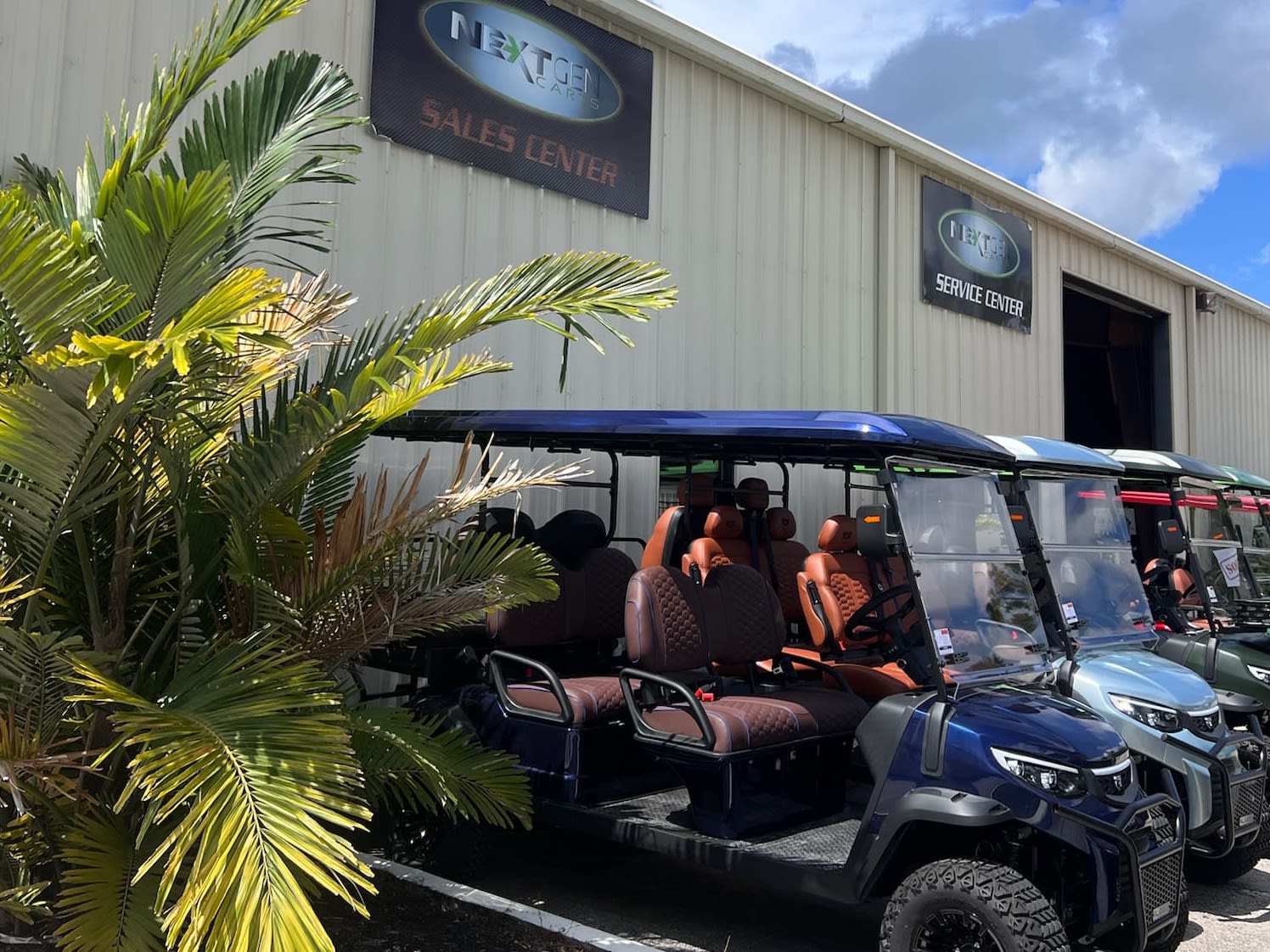 Nextgen Carts | Golf Cart Sales & Services | Ponte Vedra