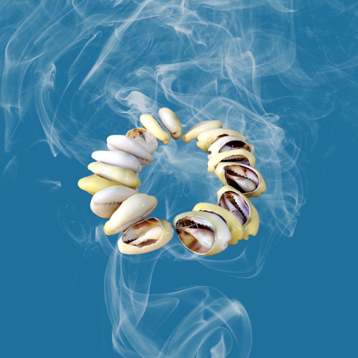 Dilogun orisha - Money Cowries - Orisha Cowry Shells Santeria Lucumi ...