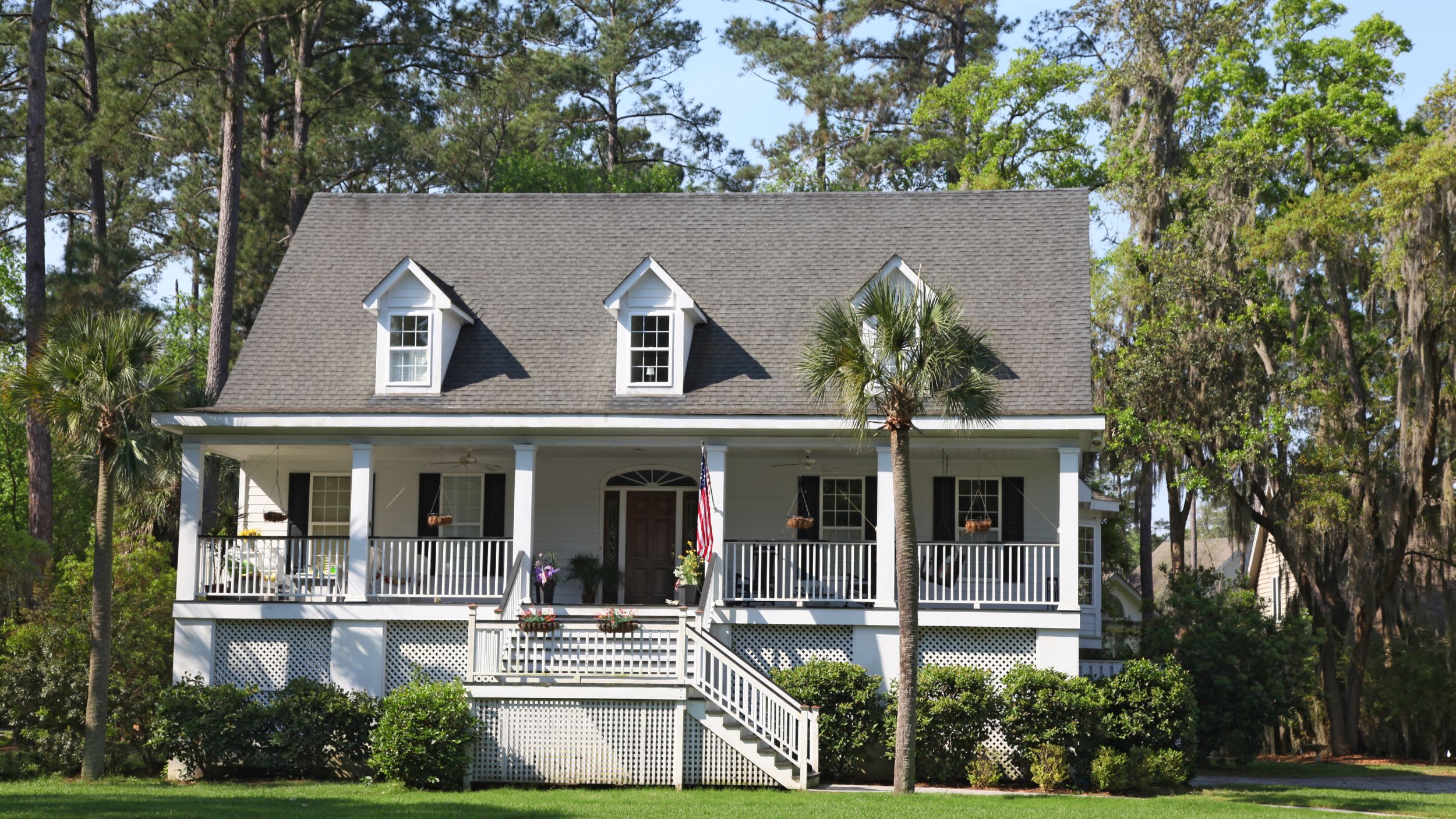 SafeGUARD Termite & Pest Control | Services in Sumter