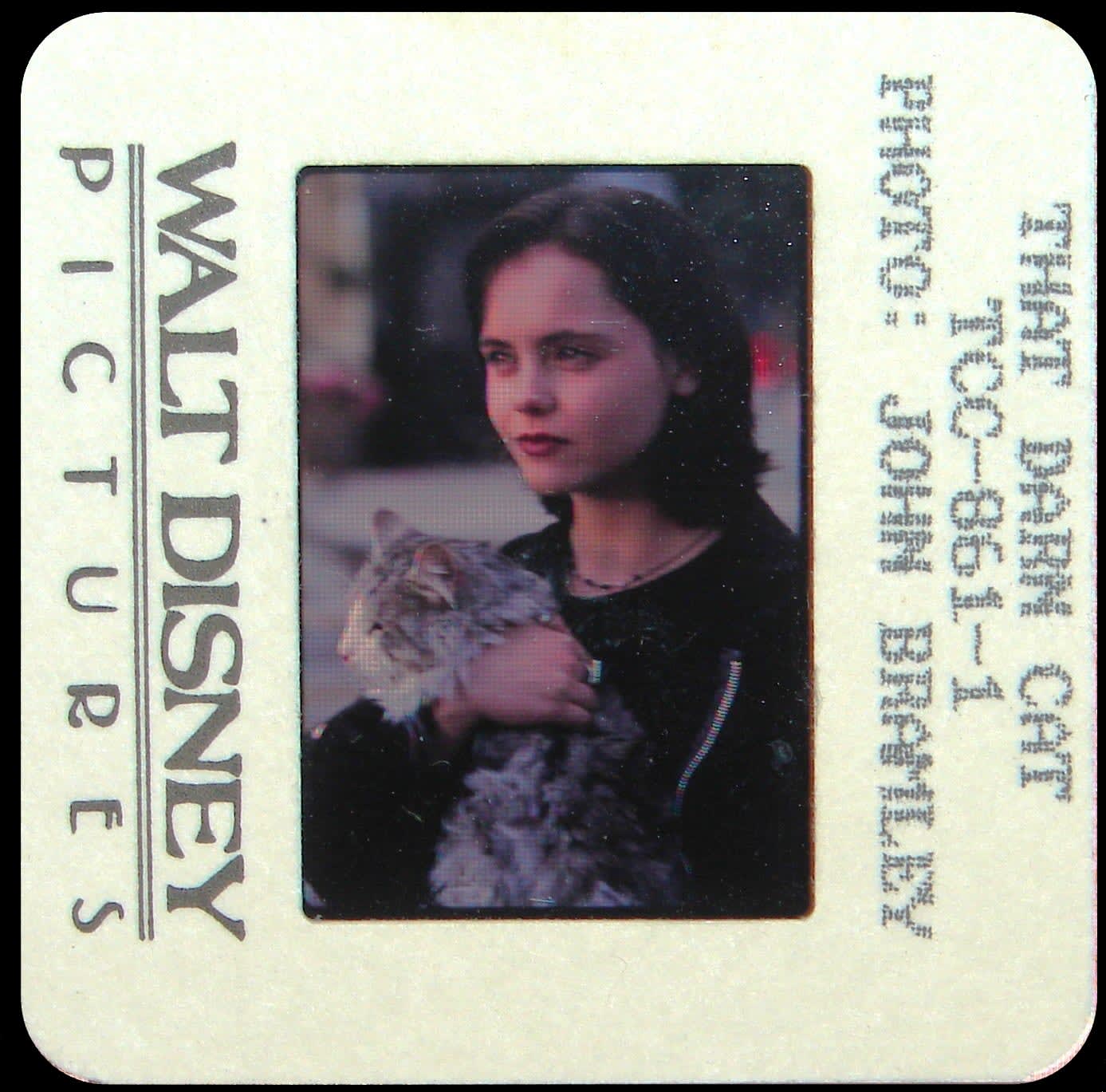 1 THAT DARN CAT Walt Disney Movie 35mm Color Slide Christina Ricci