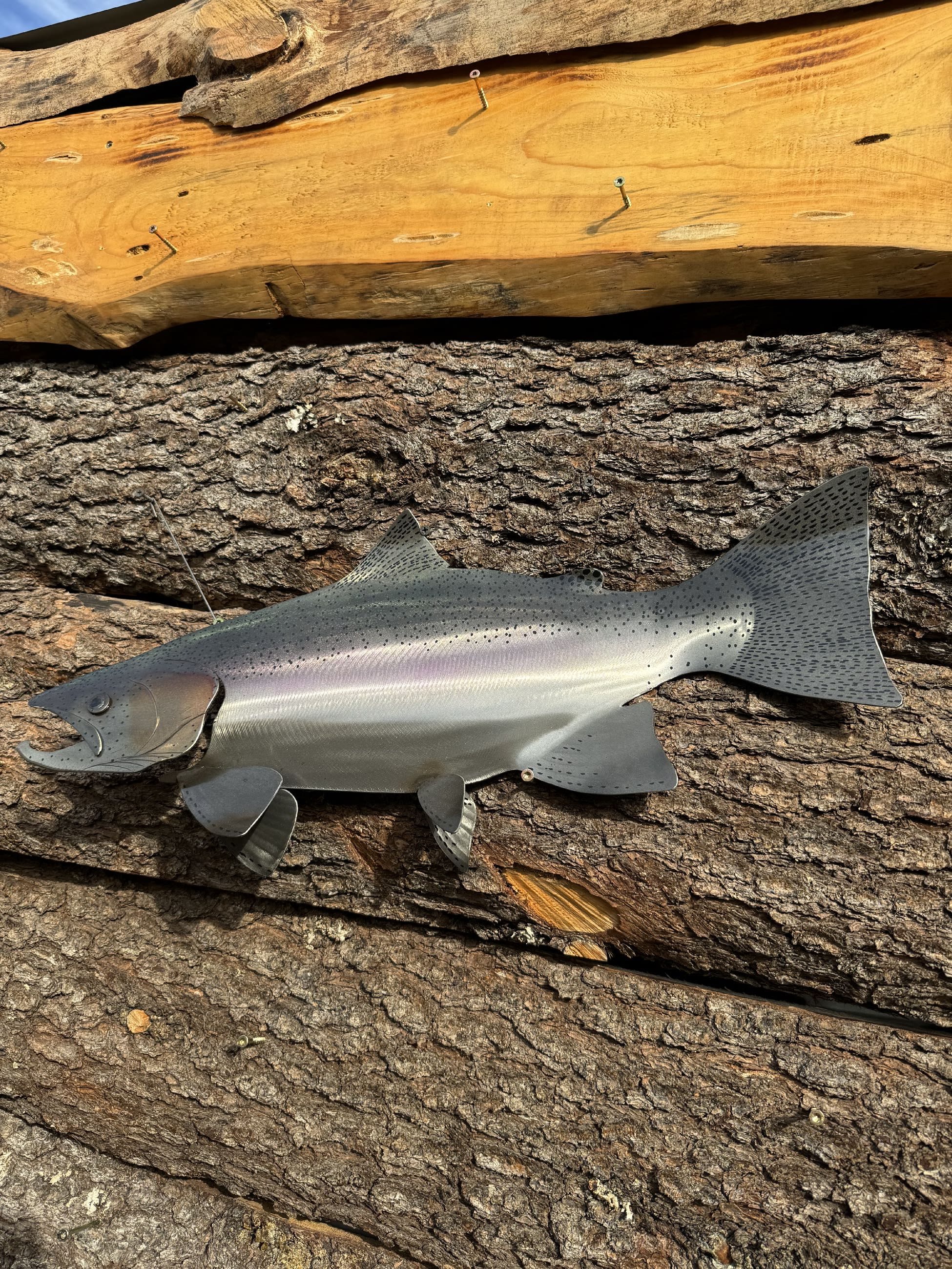 985 Steelhead 24 1 2 SHOP Metal Artwork Jerry Ross Custom Metal 985-steelhead-24-1-2-shop-metal-artwork-jerry-ross-custom-metal