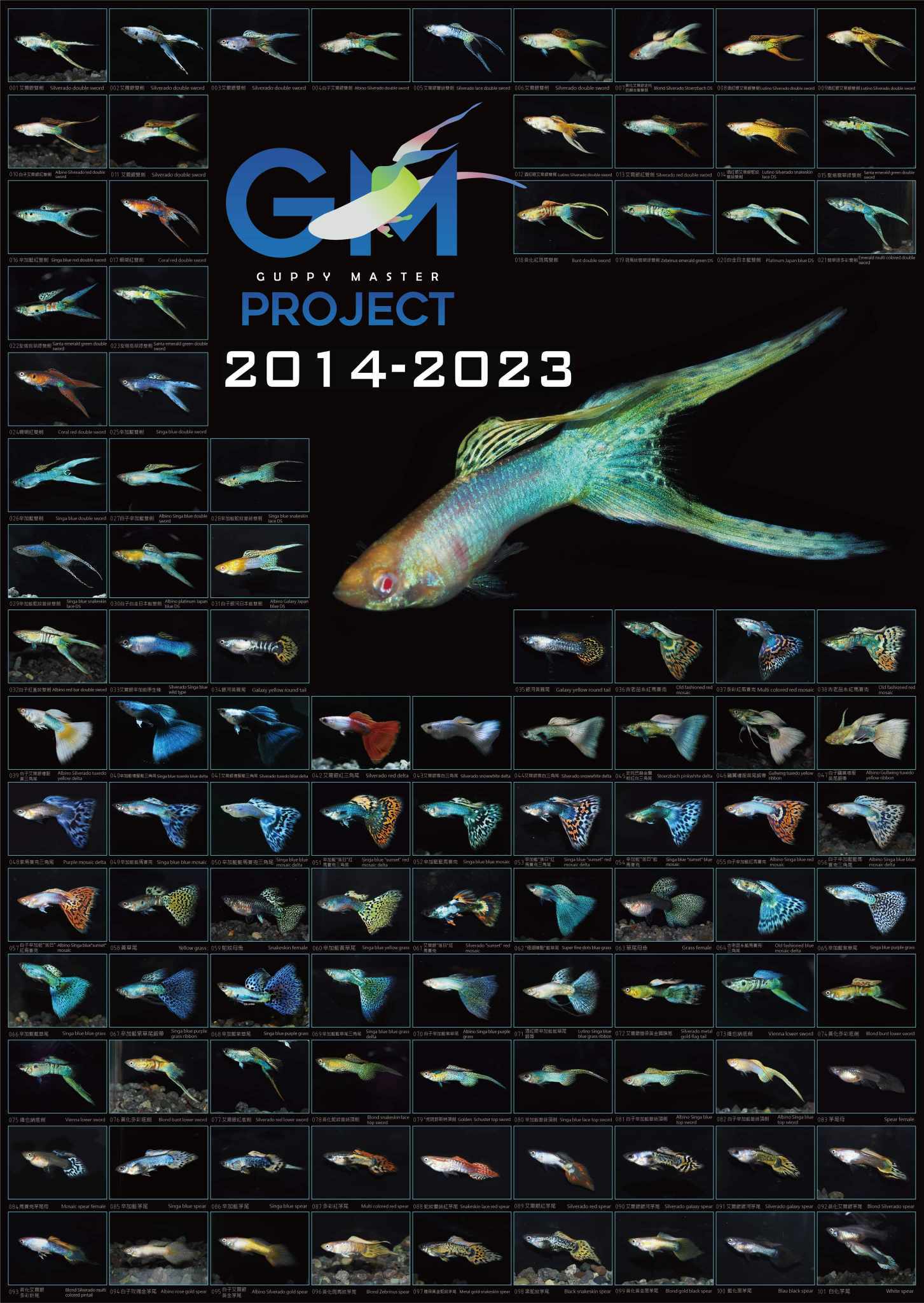 Gary Lee Guppy Poster (Signed) (Includes Shipping to Canada only)