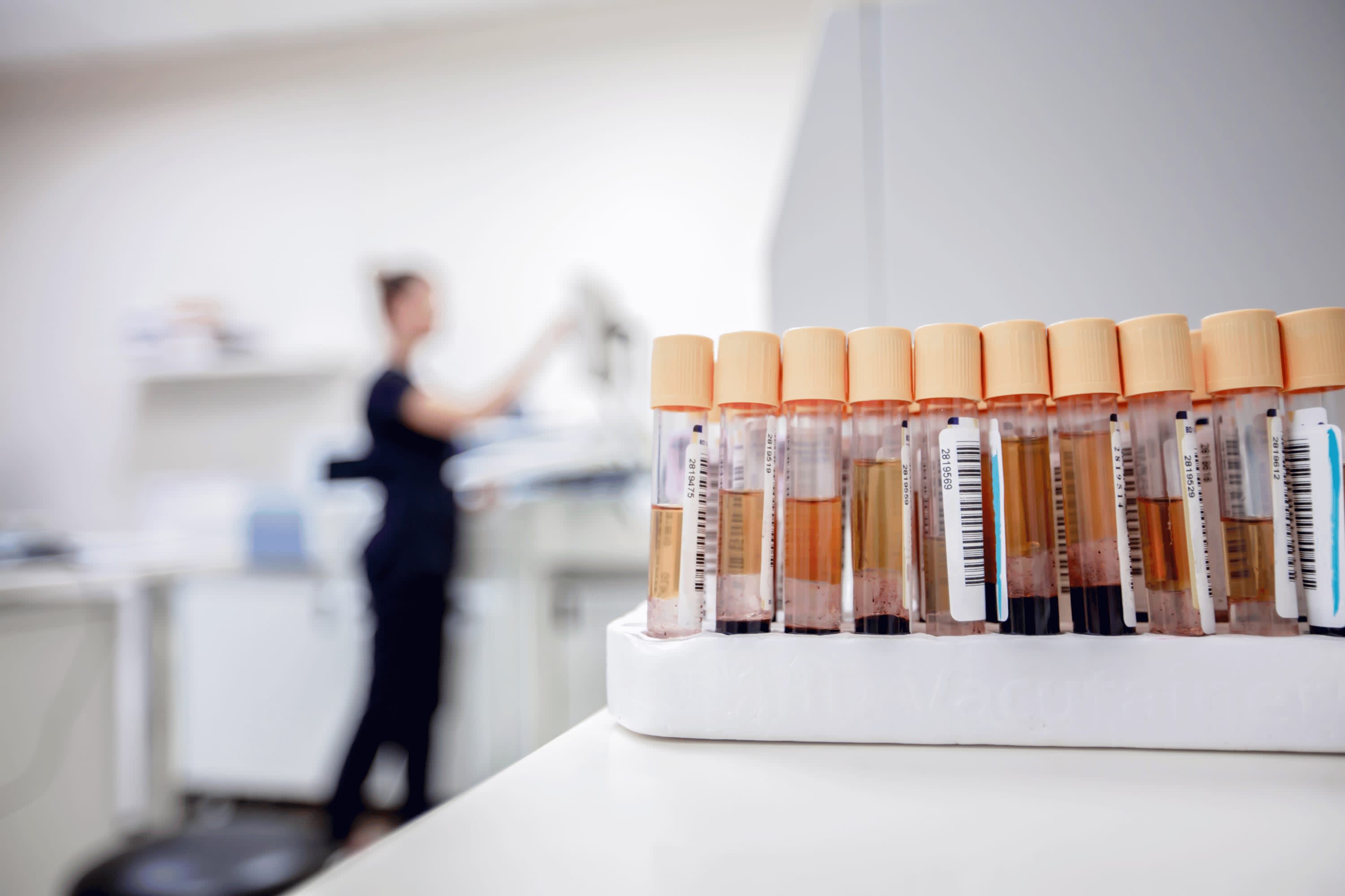 Treasure Coast Diagnostic Laboratory in Florida - Treasure Coast ...