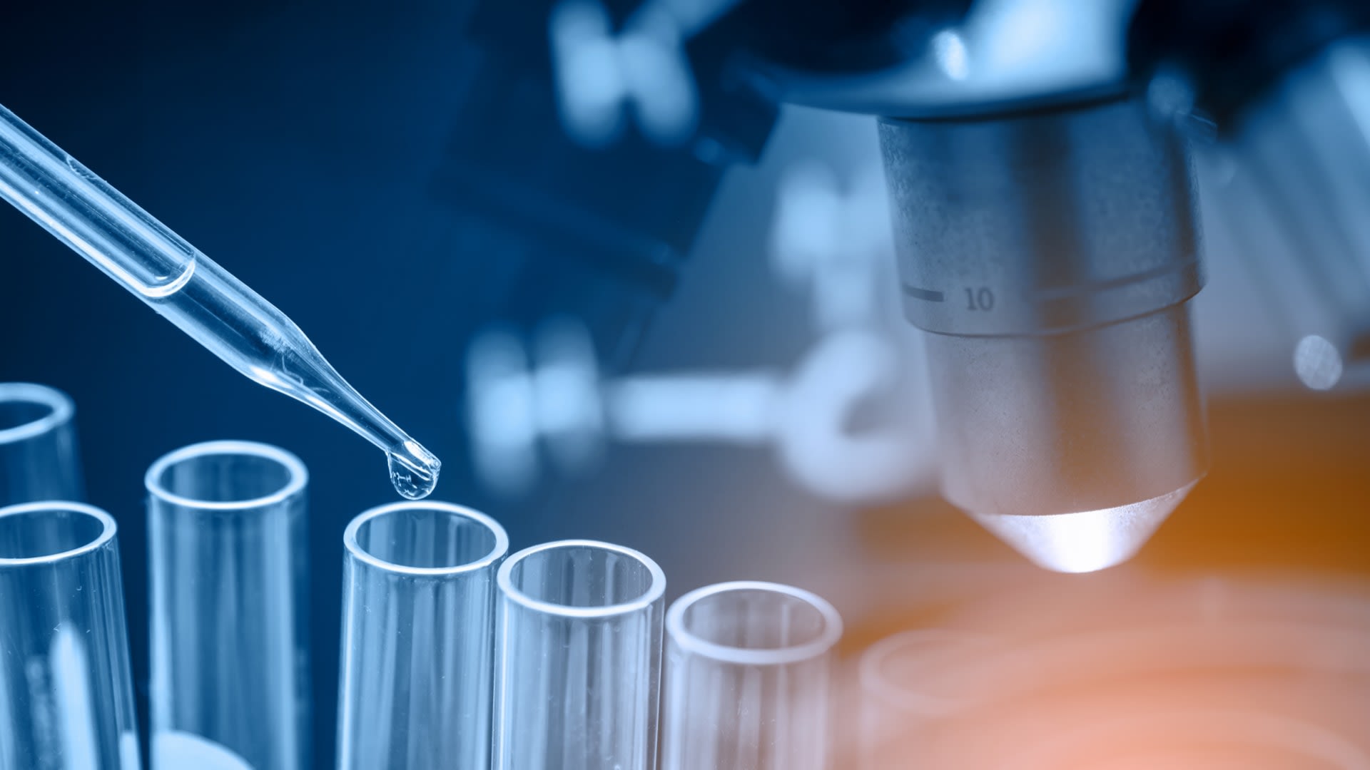 Treasure Coast Diagnostic Laboratory | Medical Laboratory | Florida