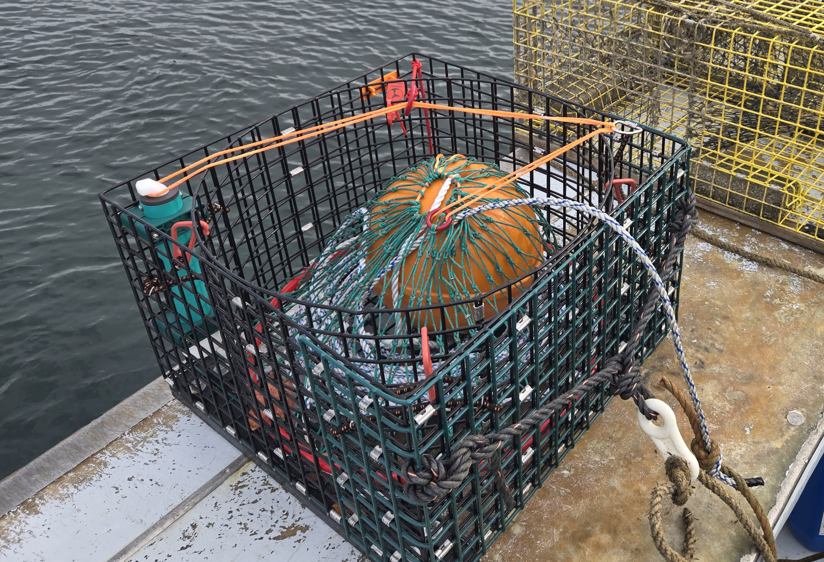 MA DMF Gear Reimbursement Special - On-Demand Fishing Equipment ...