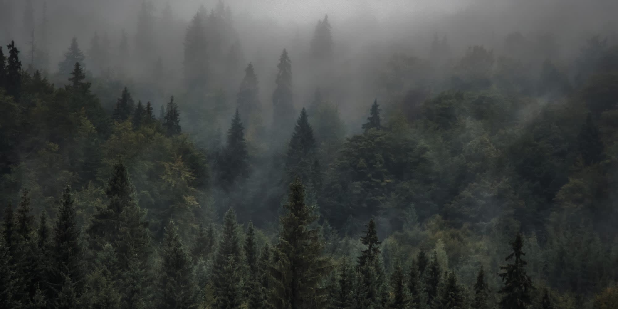 Mike Walters Novels - Pacific Northwest Mystery Novel Author - Sunny ...