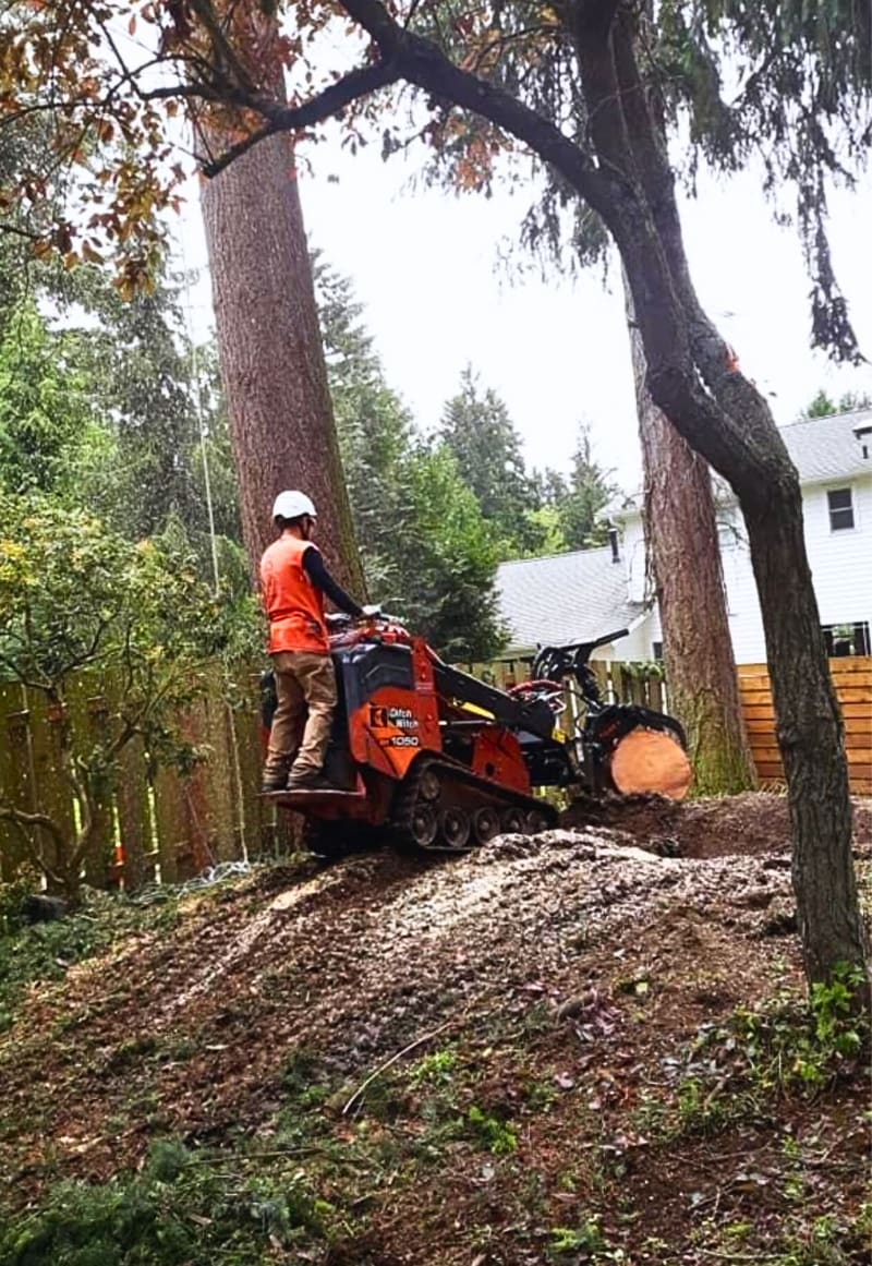 Stump Grinding - Tree Care - AJ’s Tree Experts, LLC | Tree Services | Pierce County