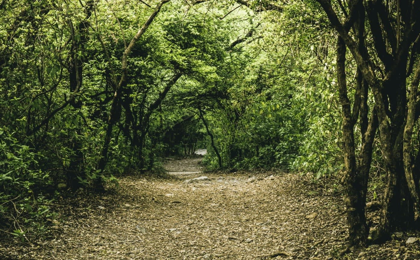 Deeply Rooted Outdoor Education | Nature-Based Learning in the DMV