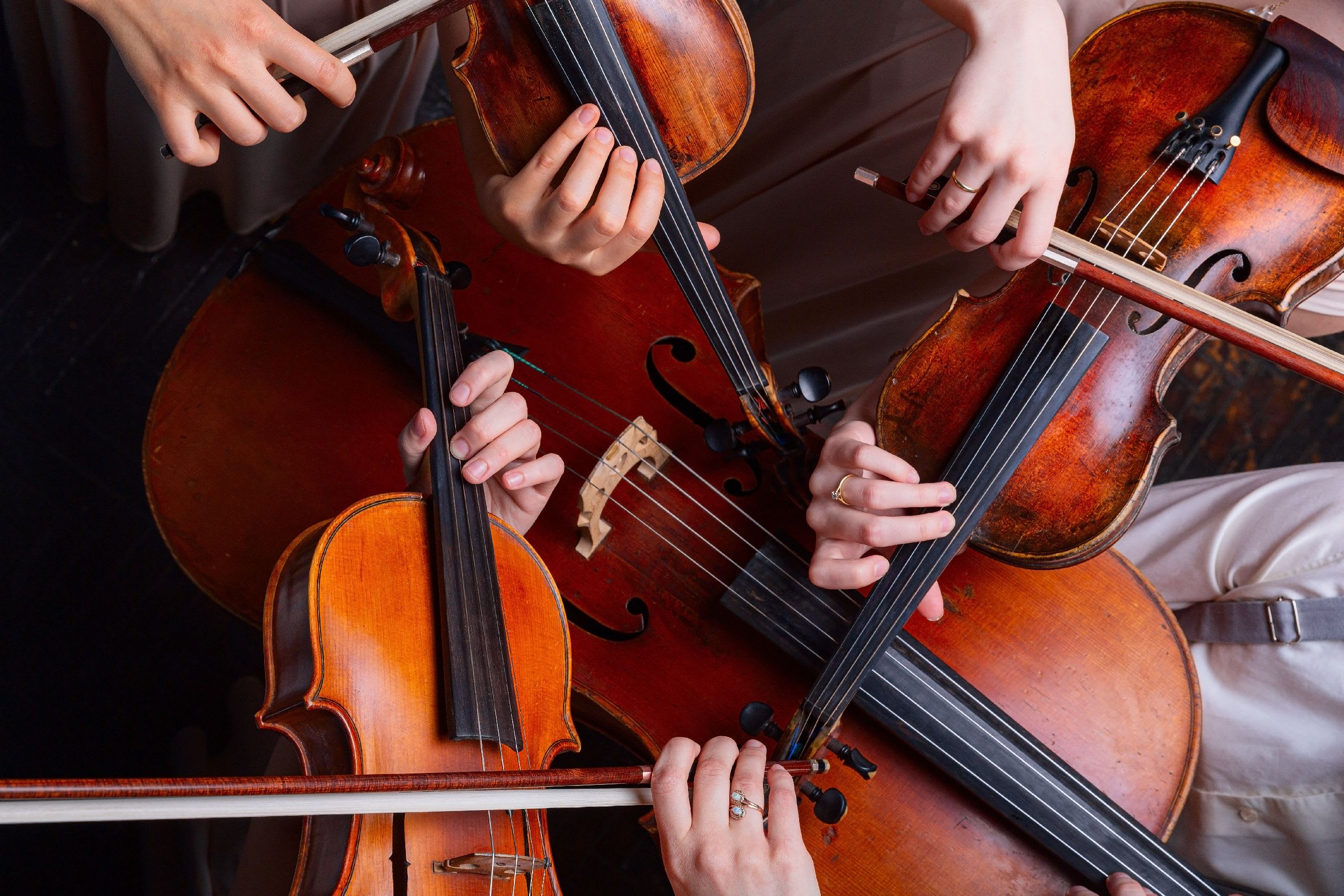 Strings440 | Private String Instrument Lessons | Plano, Texas