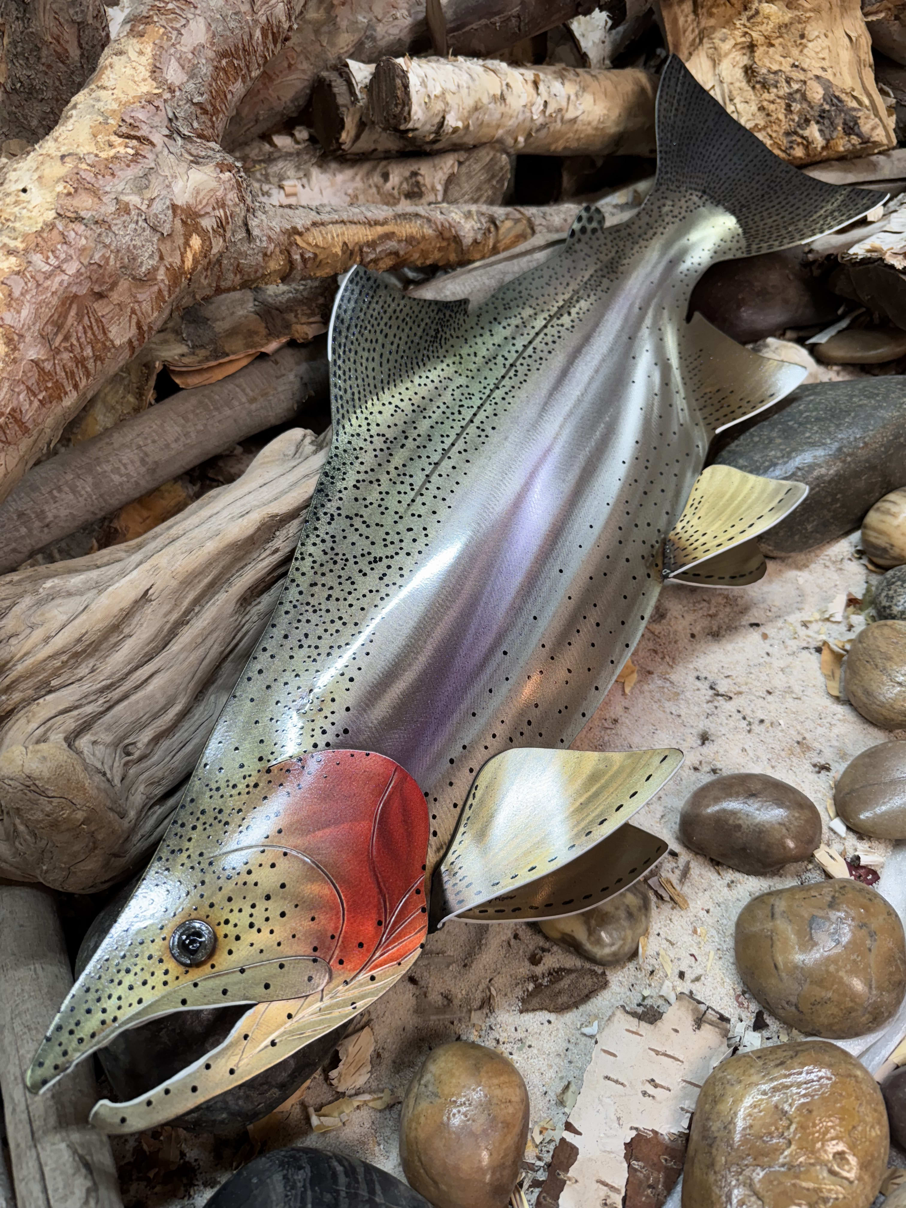 #309 - Steelhead 30” - SHOP Metal Artwork - Jerry Ross Custom Metal ...