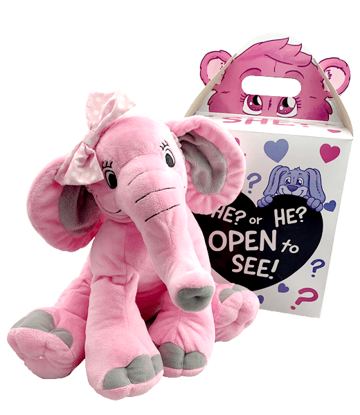 Gender Reveal Box - Gender Reveal Box - Simply Stuffed - Plush Store ...