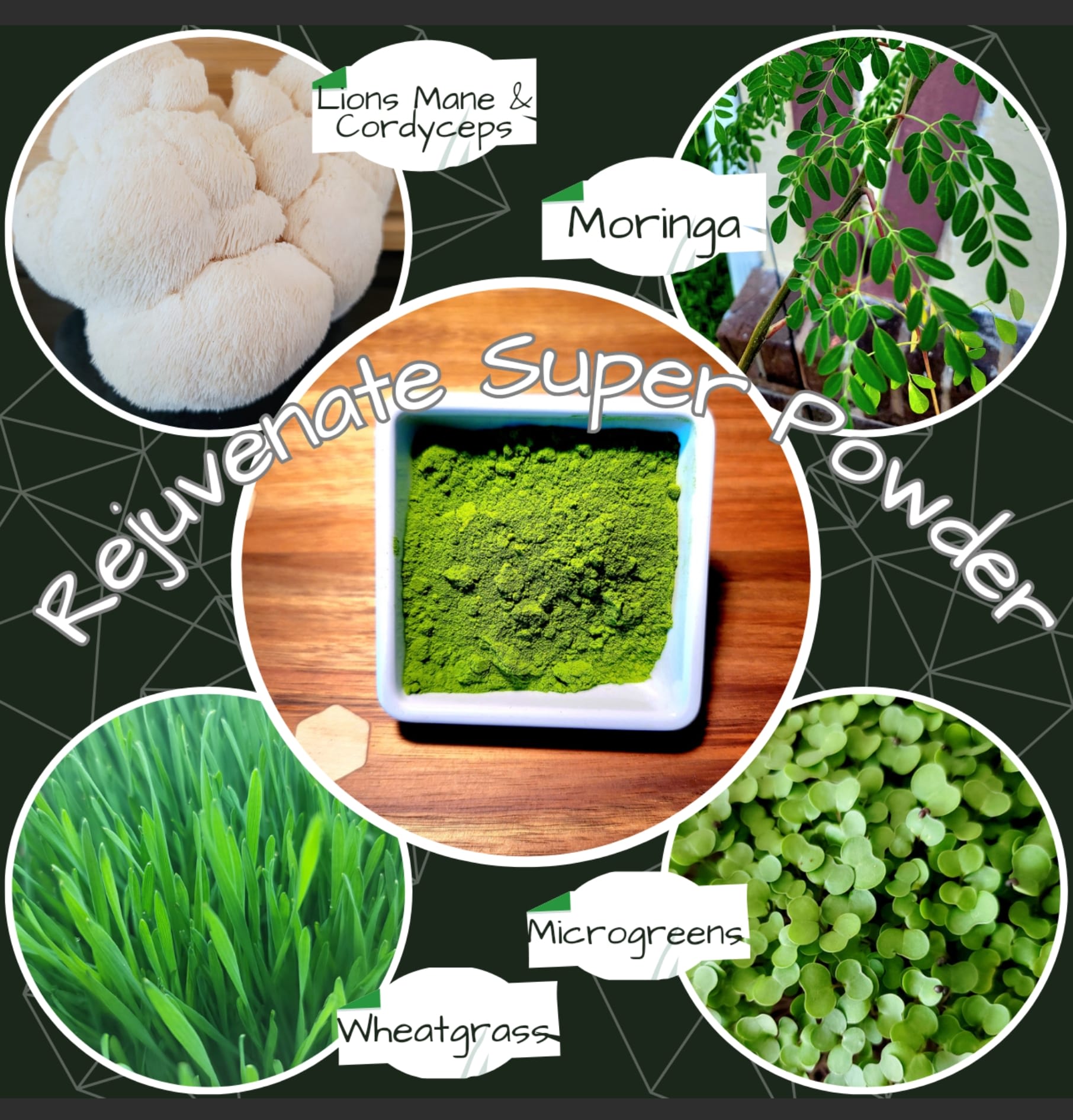 Rejuvenate - Powders and Capsules - Get Spiked Greens - Microgreens ...