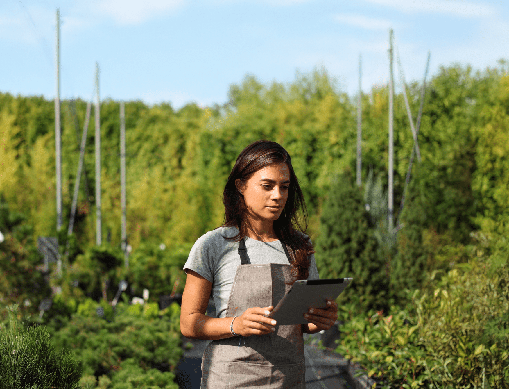Landscape Consultation and Design - Landscape Installation & Design