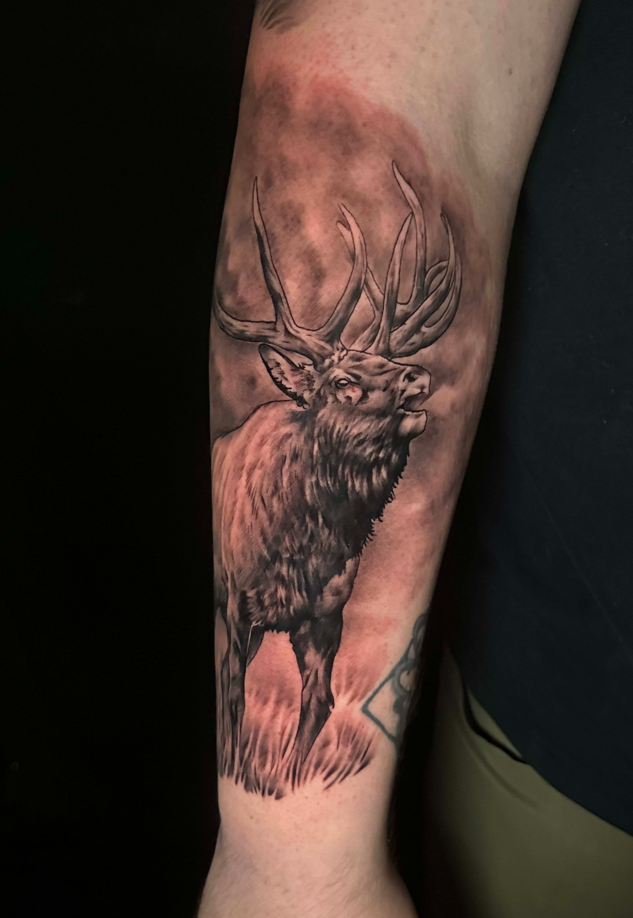Timeless Tattoos for Adventurous Souls - Black Forest Tattoo Club - Tattoo Studio & Gallery in ...