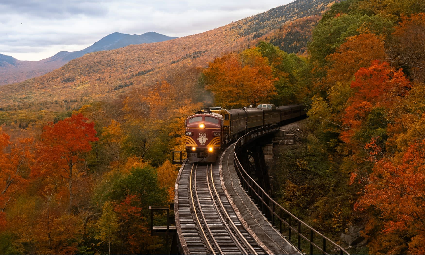 Treks by Train | Seller of Travel | Tampa, FL