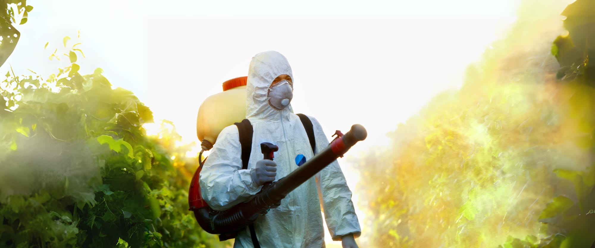 Texas Pest Solutions | Pest Control | Houston, TX