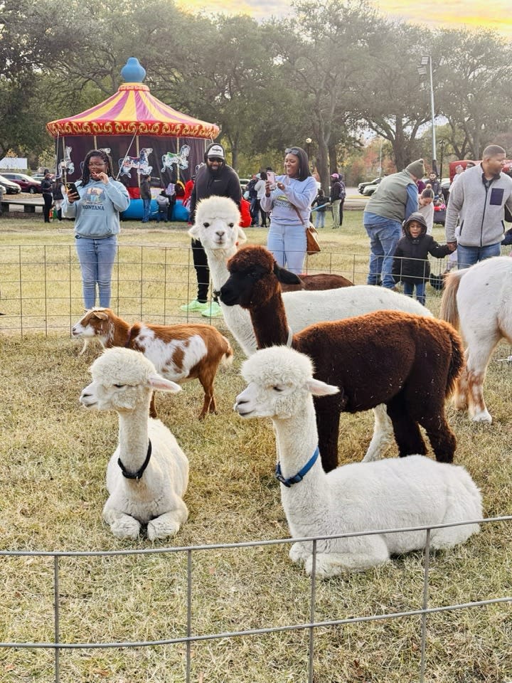 Petting Zoo Experience - Animal Rentals - Barnyard on Wheels - Party ...