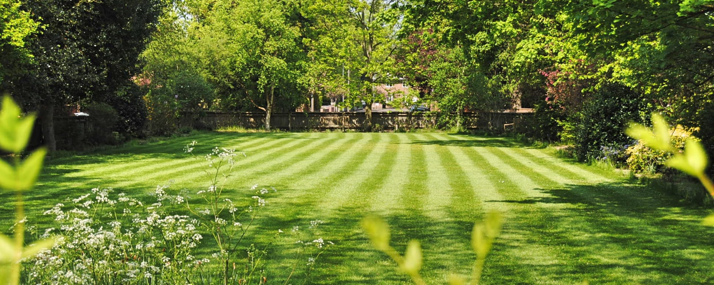 Angel Lawn Service, LLC | Professional Lawn Care | Cumming, GA