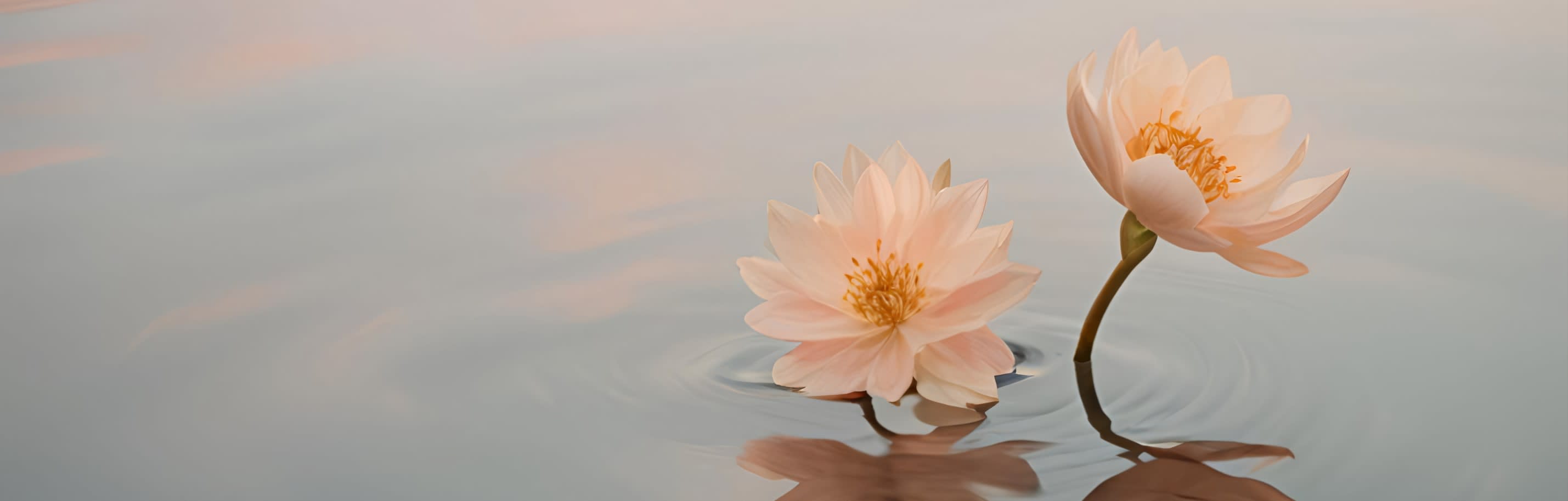 Tranquility Coaching Practice | Life Coaching for Depression, Anxiety ...