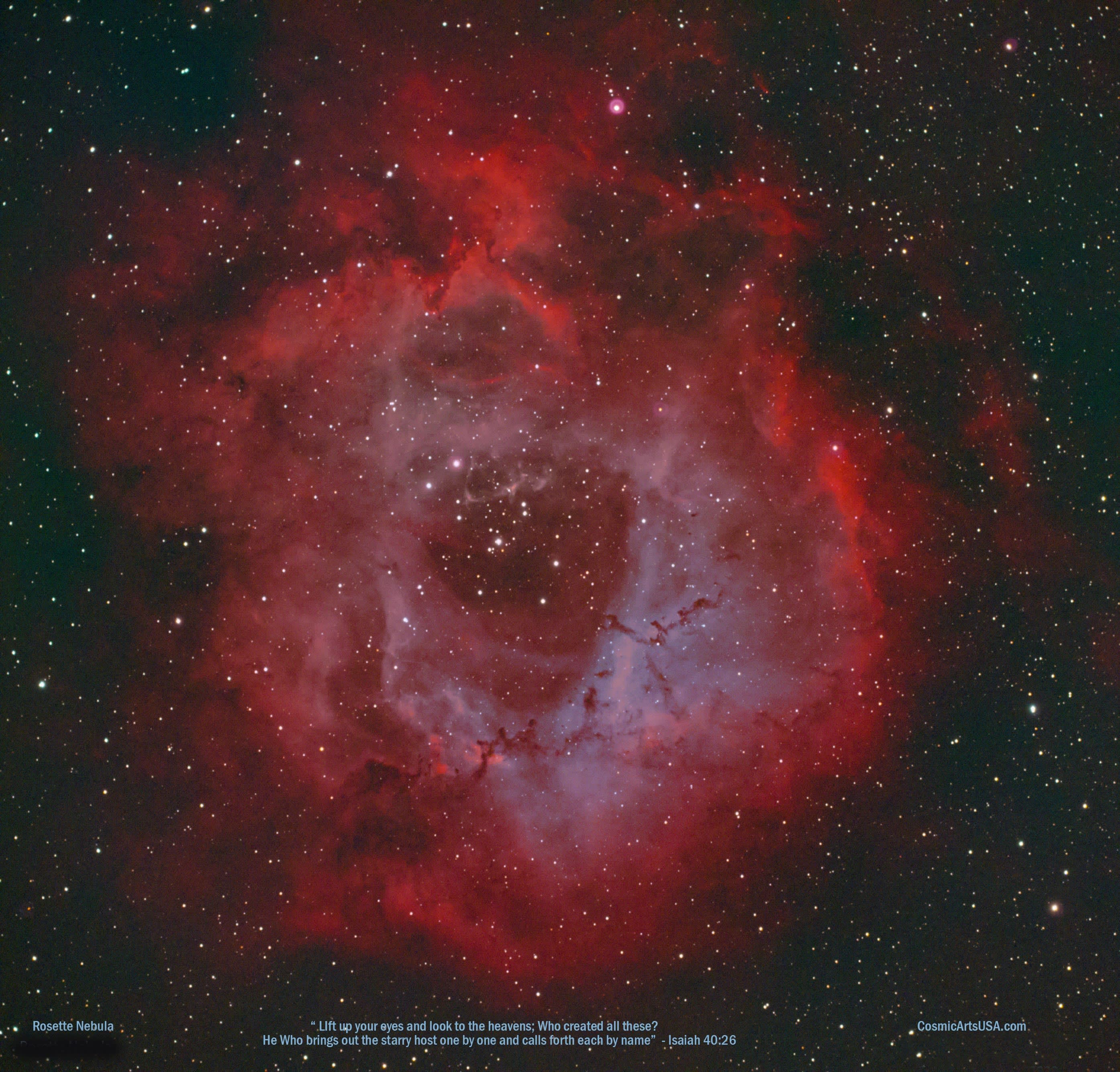 Rosette Nebula Wall Art - Cosmic Canvas Print Wall Art - Cosmic Arts, LLC | Astrophotography ...