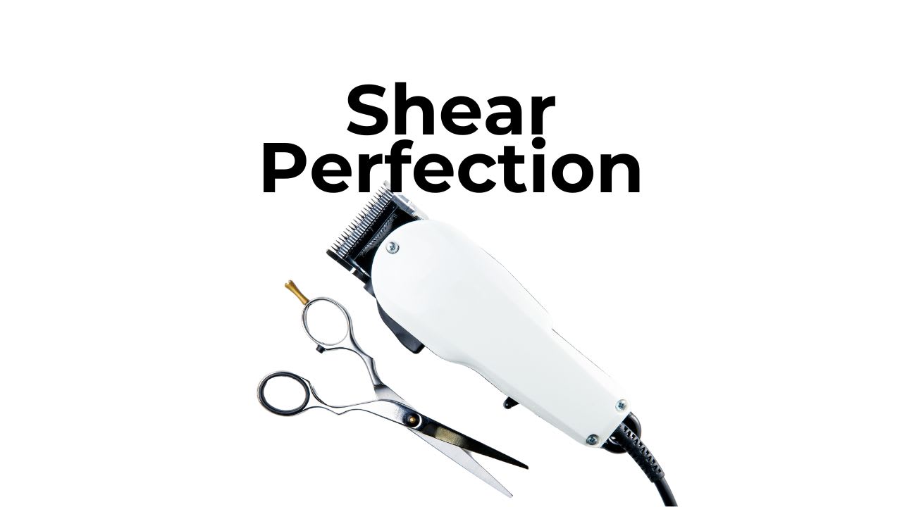 Schedule On-site Sharpening - Sharpening Services Near You - Sharp on ...