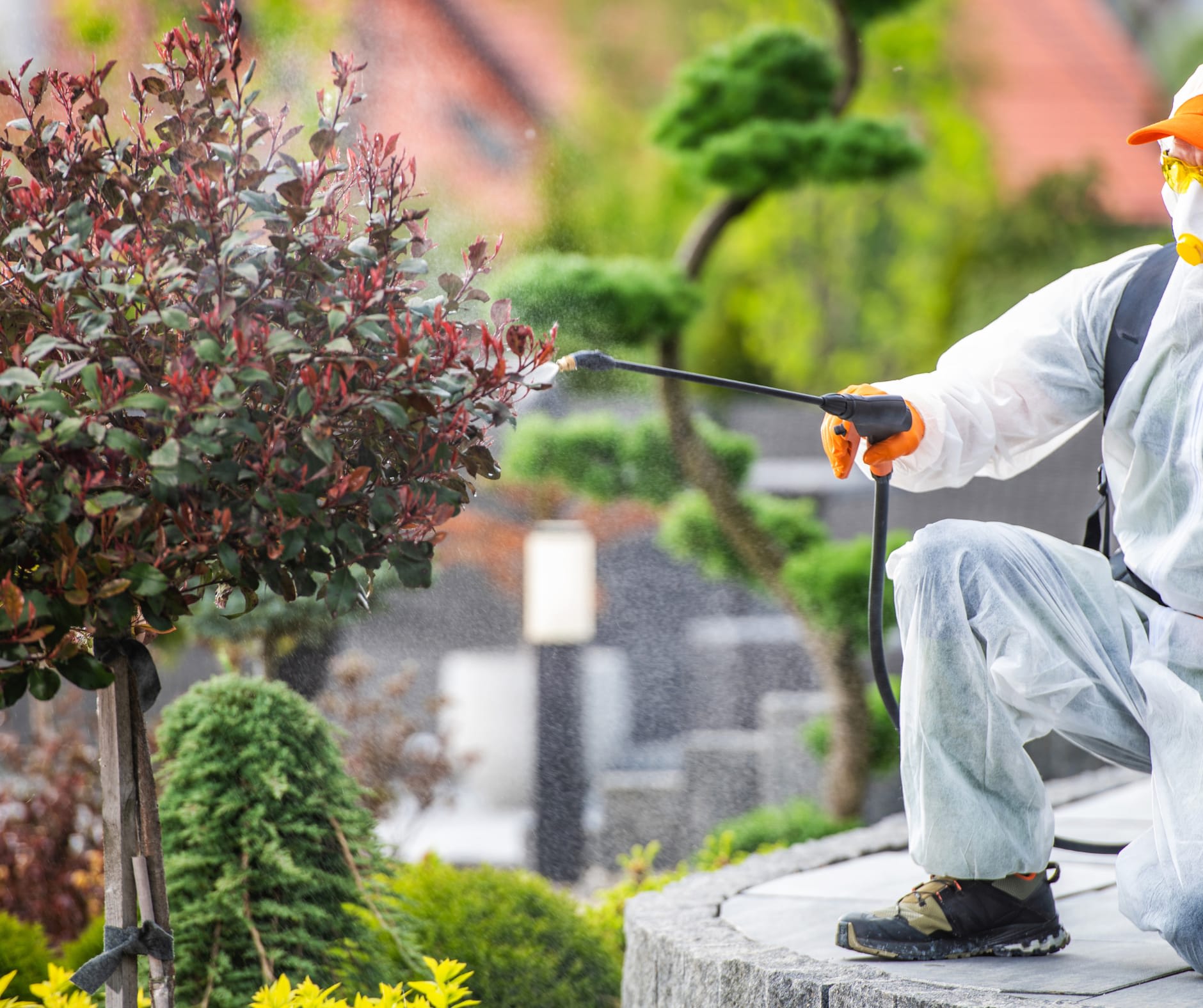 Commercial Applications - Pest Control Services - The Mosquito Man ...