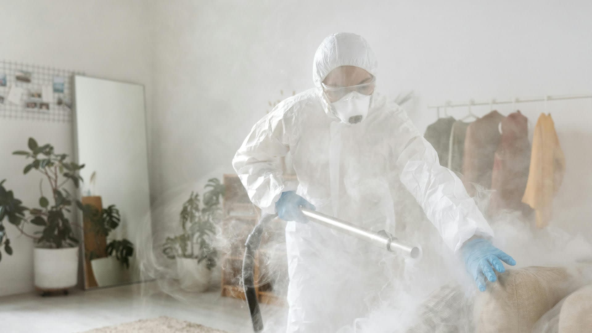 Fly Infestation Control - Insect Management - Union Pest Solutions ...