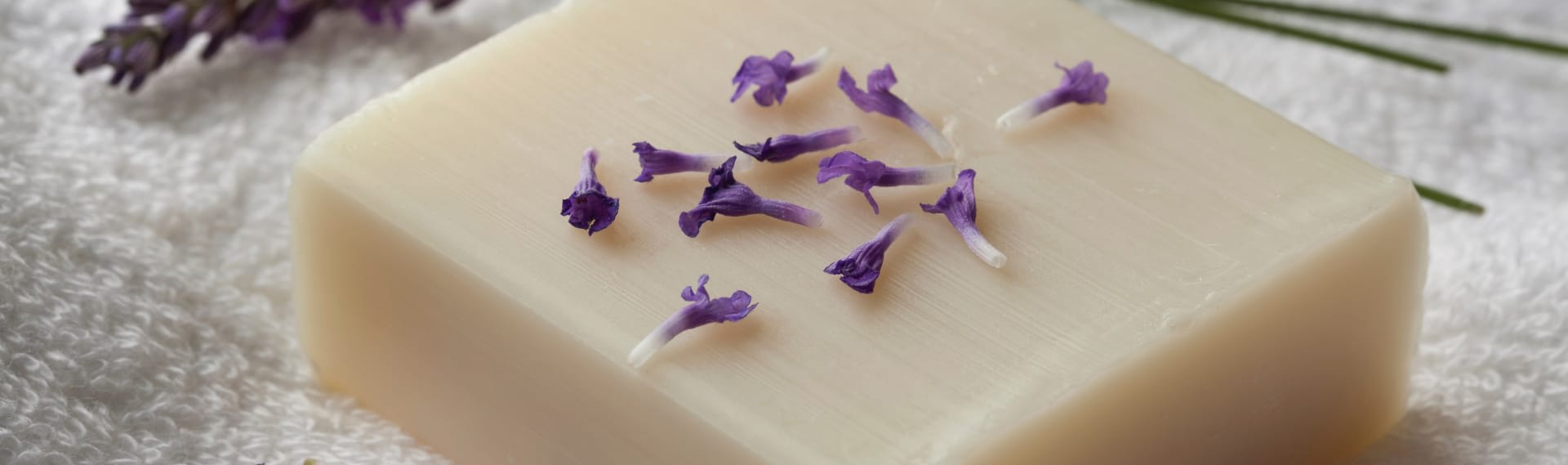 ACS Soaps, LLC | Handmade Soaps in Arcadia