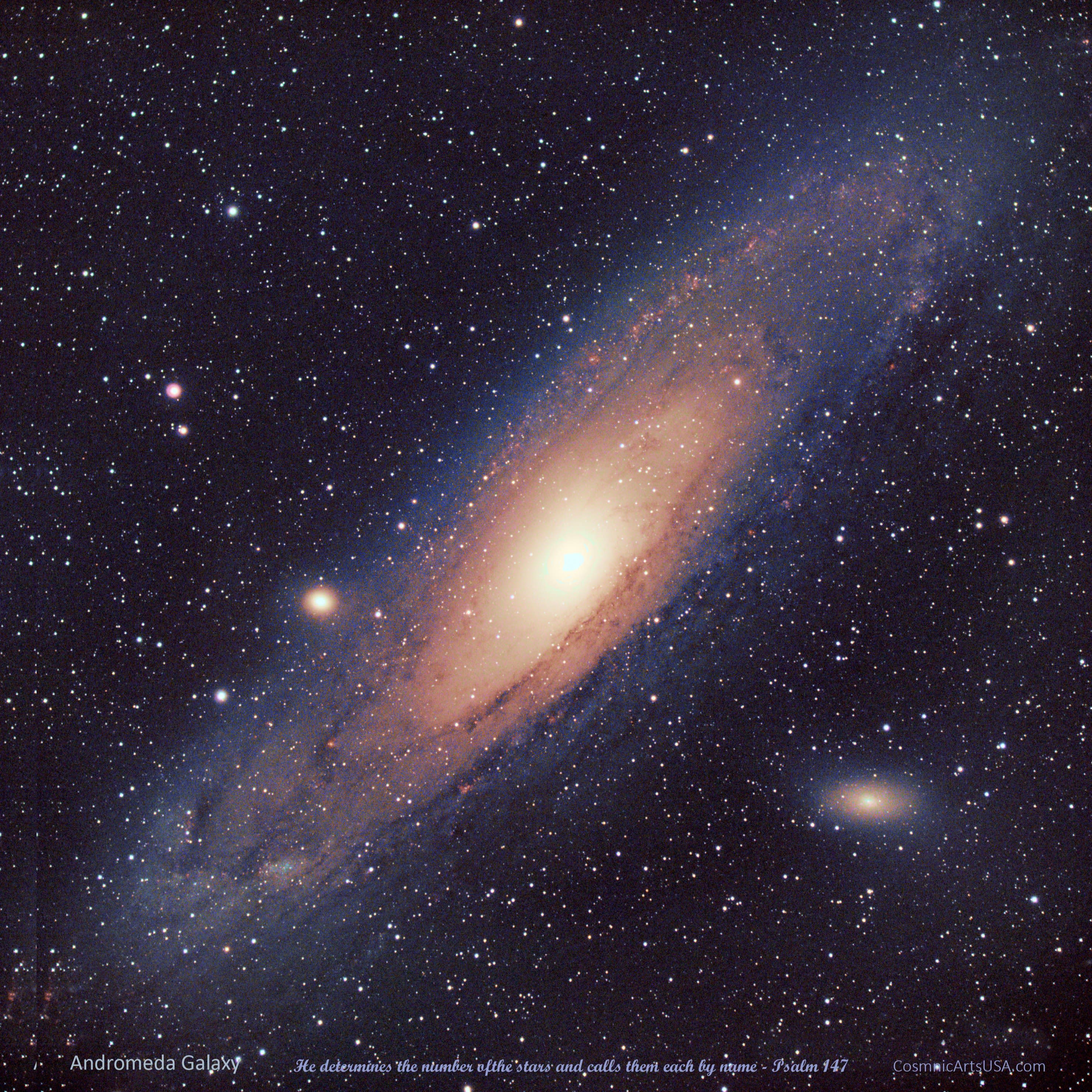 Andromeda Galaxy Wall Art - Cosmic Canvas Print Wall Art - Cosmic Arts, LLC | Astrophotography ...