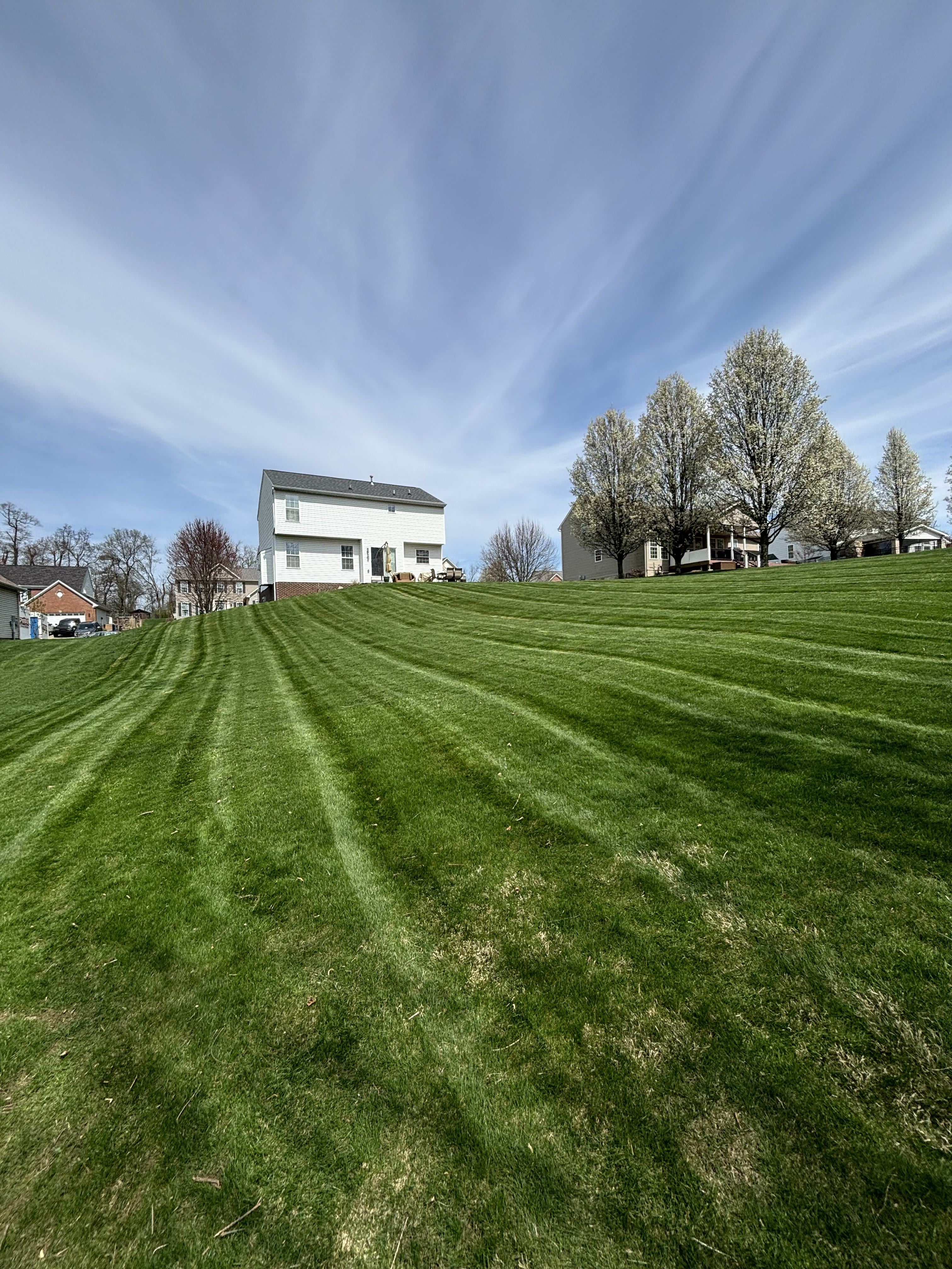 Lawn Maintenance & Grass Cutting - Lawn Care and Landscape - A Cut ...